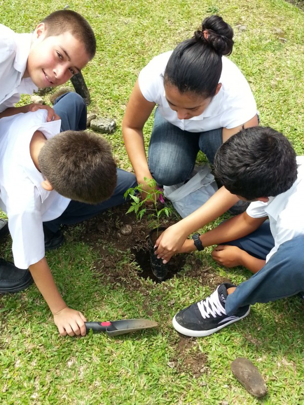 La Fundación inicia su Programa Bandera Azul Ecológica-BAE en Costa ...